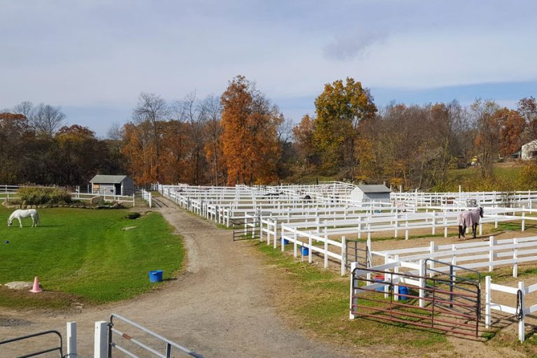 Riding Lessons and Horse Boarding in beautiful Terryville CT